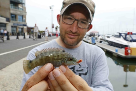 25 Awesome sea fishing tips | Angling Times