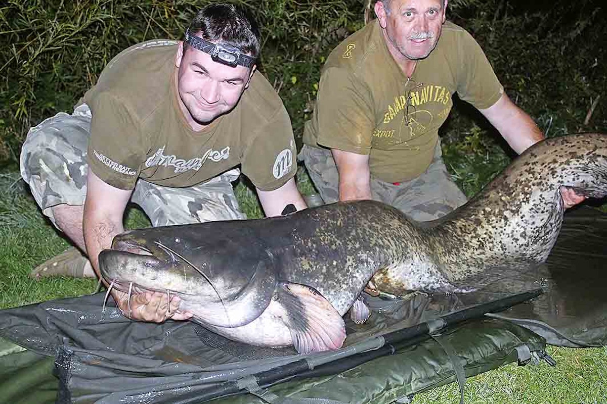 Fishing near me: Best lakes for catfish UK | Angling Times
