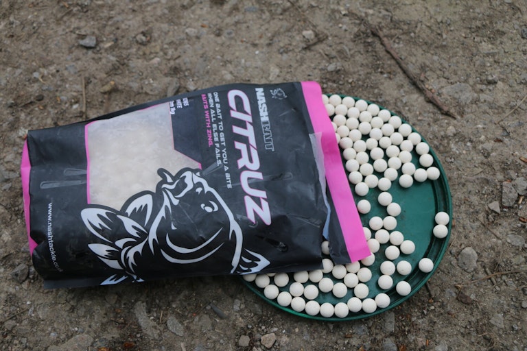 Choosing the correct boilie for carp fishing