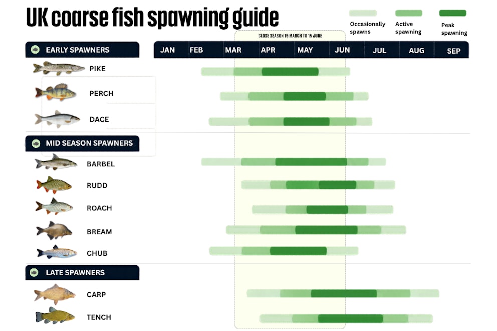 Fish Spawning Signs Every Angler Should Know
