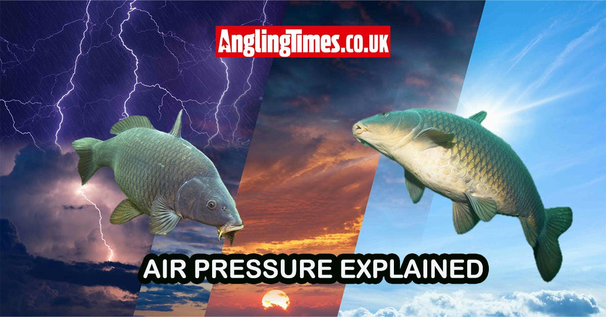 Tips | Advice | Angling Times