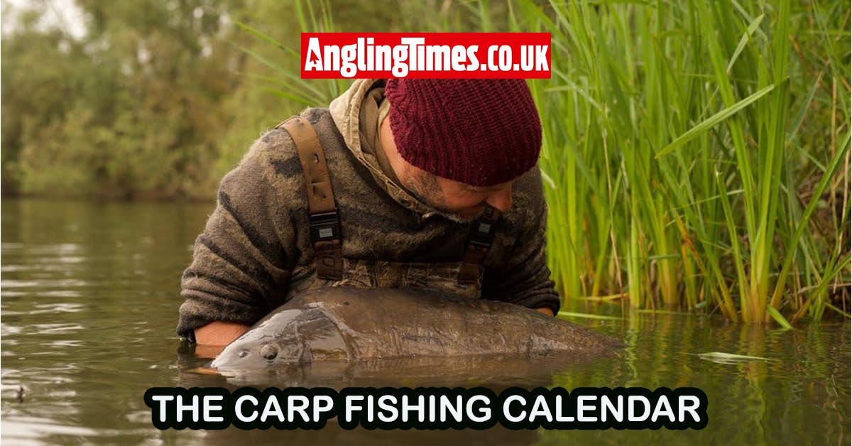The carp fishing calendar | How to catch carp all year | Angling Times