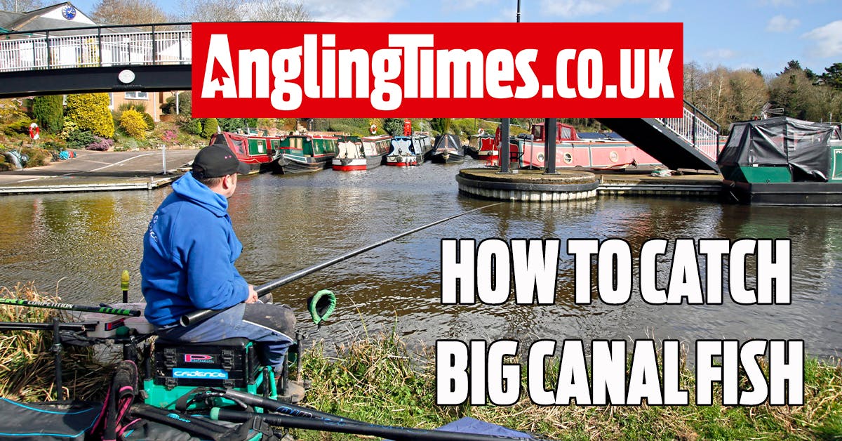 Tips to catch bigger canal fish – Jason Cunningham | Angling Times