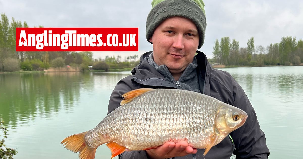 Giant roach landed in carp fishing match | Angling Times