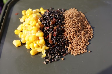 How to fish the method feeder for big carp | Angling Times