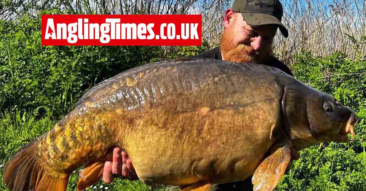 40lb-plus Welsh carp banked on tench fishing trip | Angling Times