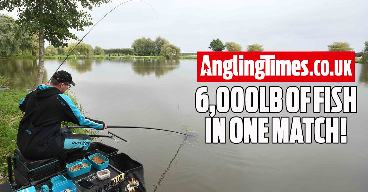 29 anglers catch over 100lb of carp in amazing fishing match | Angling ...