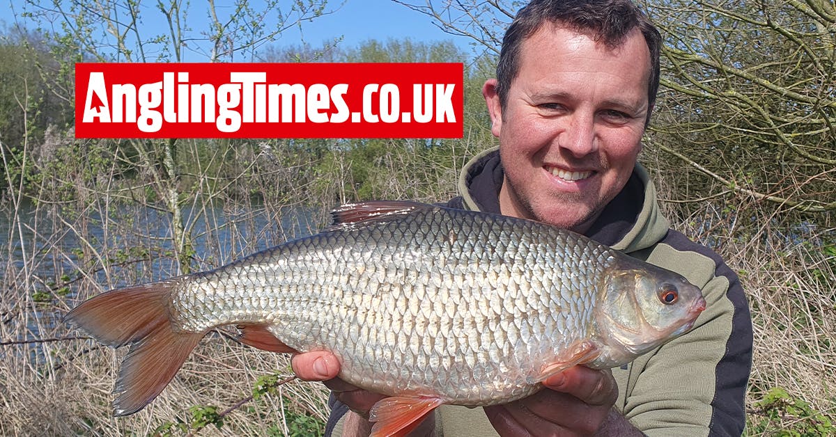 Friends each land 3lb-plus roach in ‘red-letter’ session | Angling Times