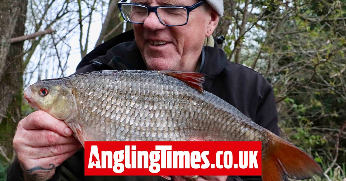 3lb roach tops remarkable hit of 2lb-plus specimens | Angling Times