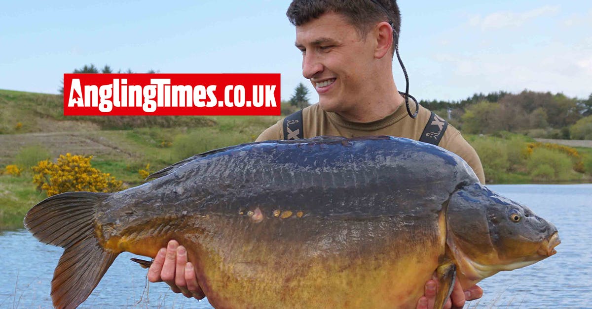 123lb Trio of Welsh carp…all on one rod! | Angling Times
