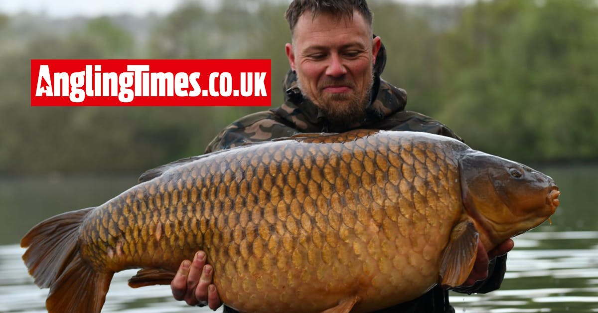 Enormous ‘Waterside Common’ carp smashes captor’s PB by over 30lb! | Angling Times