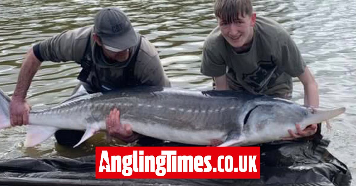 Teenager endures ‘fight of his life’ with enormous sturgeon | Angling Times