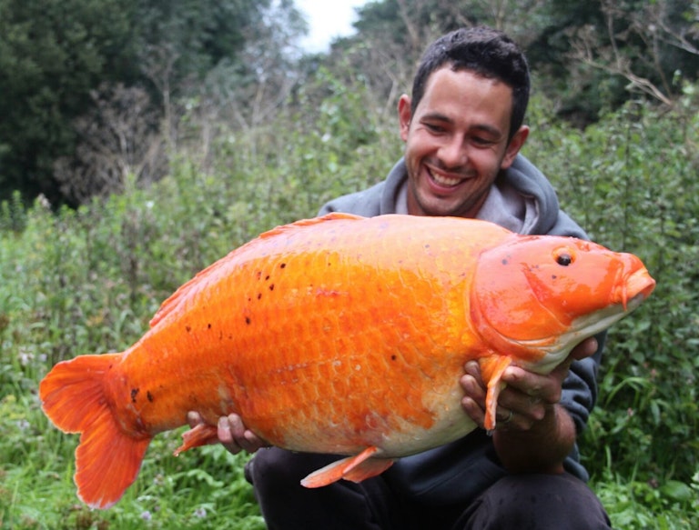 Suffolk Waterpark Big Lake | Angling Times