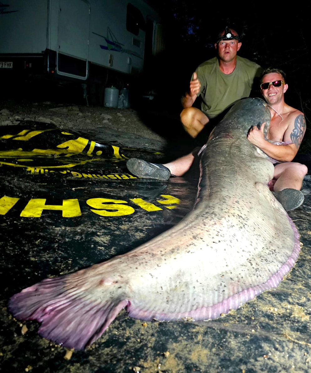Brit’s first cat is a 246lb monster | Angling Times