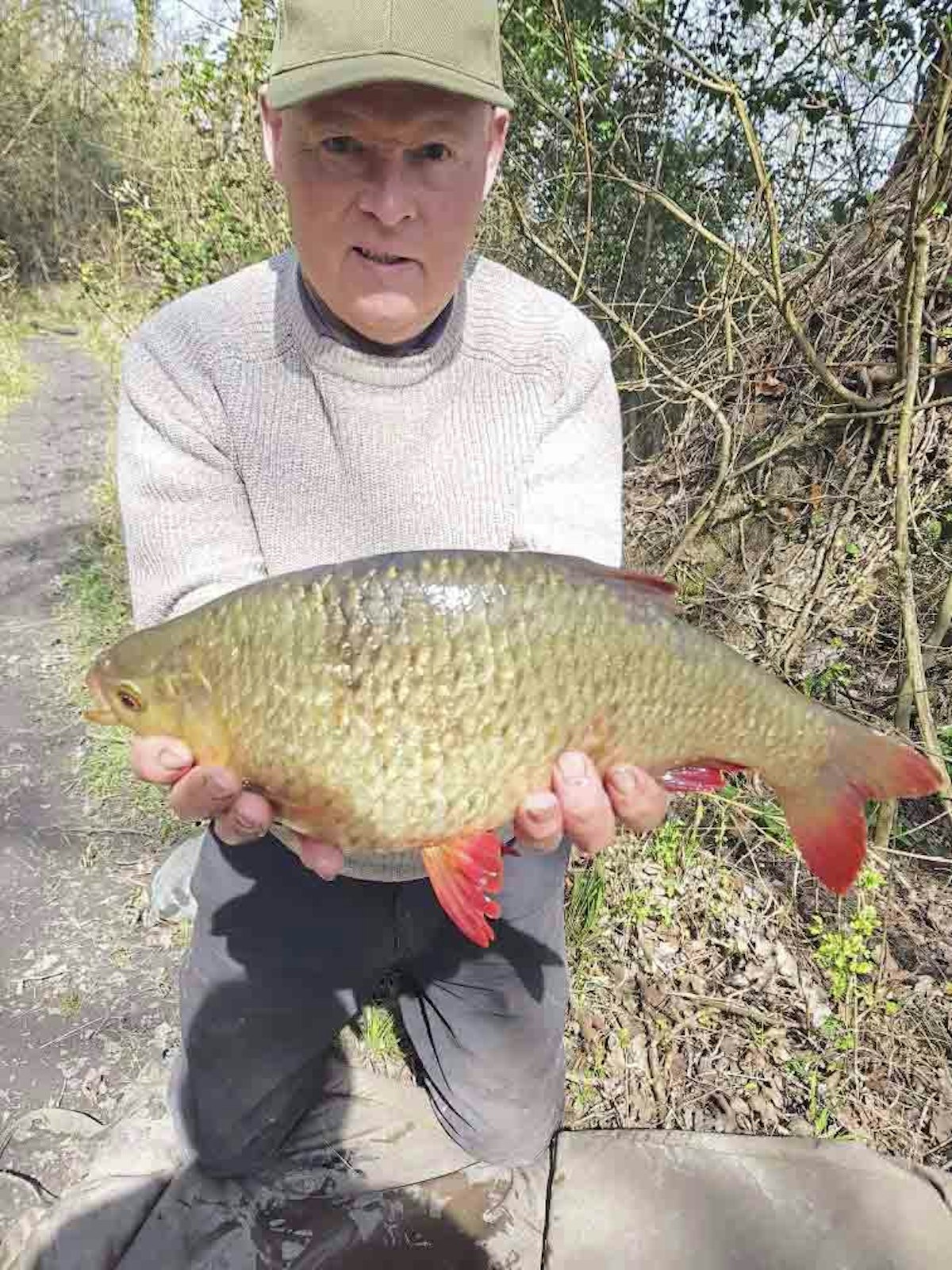 Angler ‘does not want record’ after catching monster 5lb-plus rudd ...
