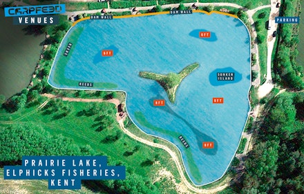 Elphicks Prairie Lake: map and tactics guide | Angling Times