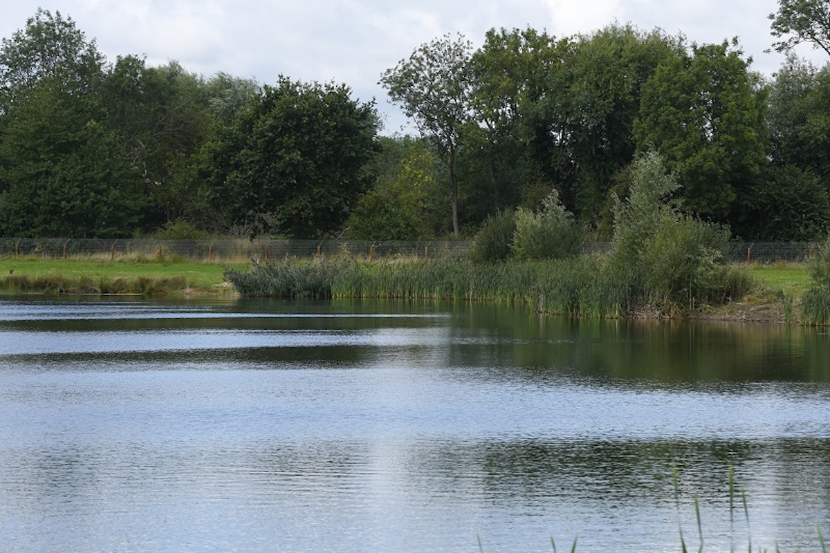 Trent View Fishery | Angling Times