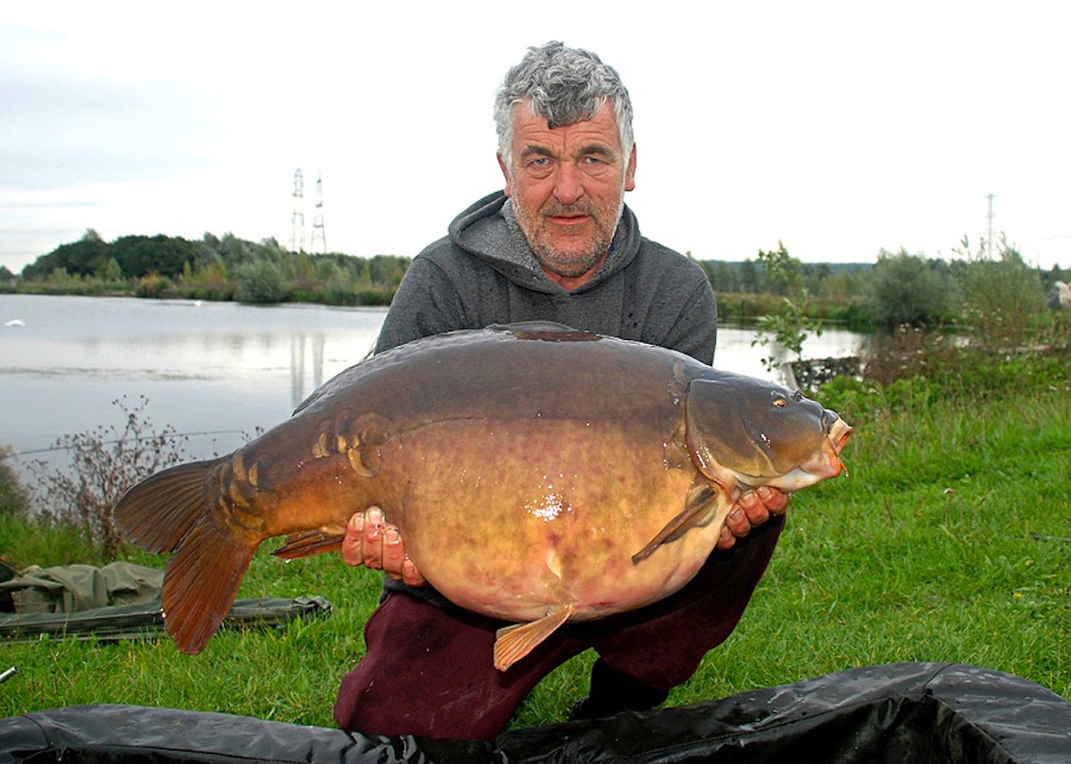 How to fish for carp with nuts: a complete guide | Angling Times