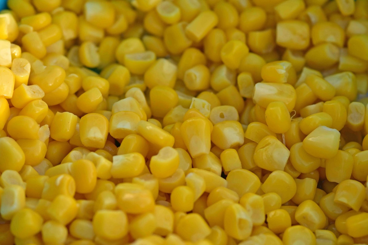 The best particle baits for carp fishing and how to use them | Angling ...