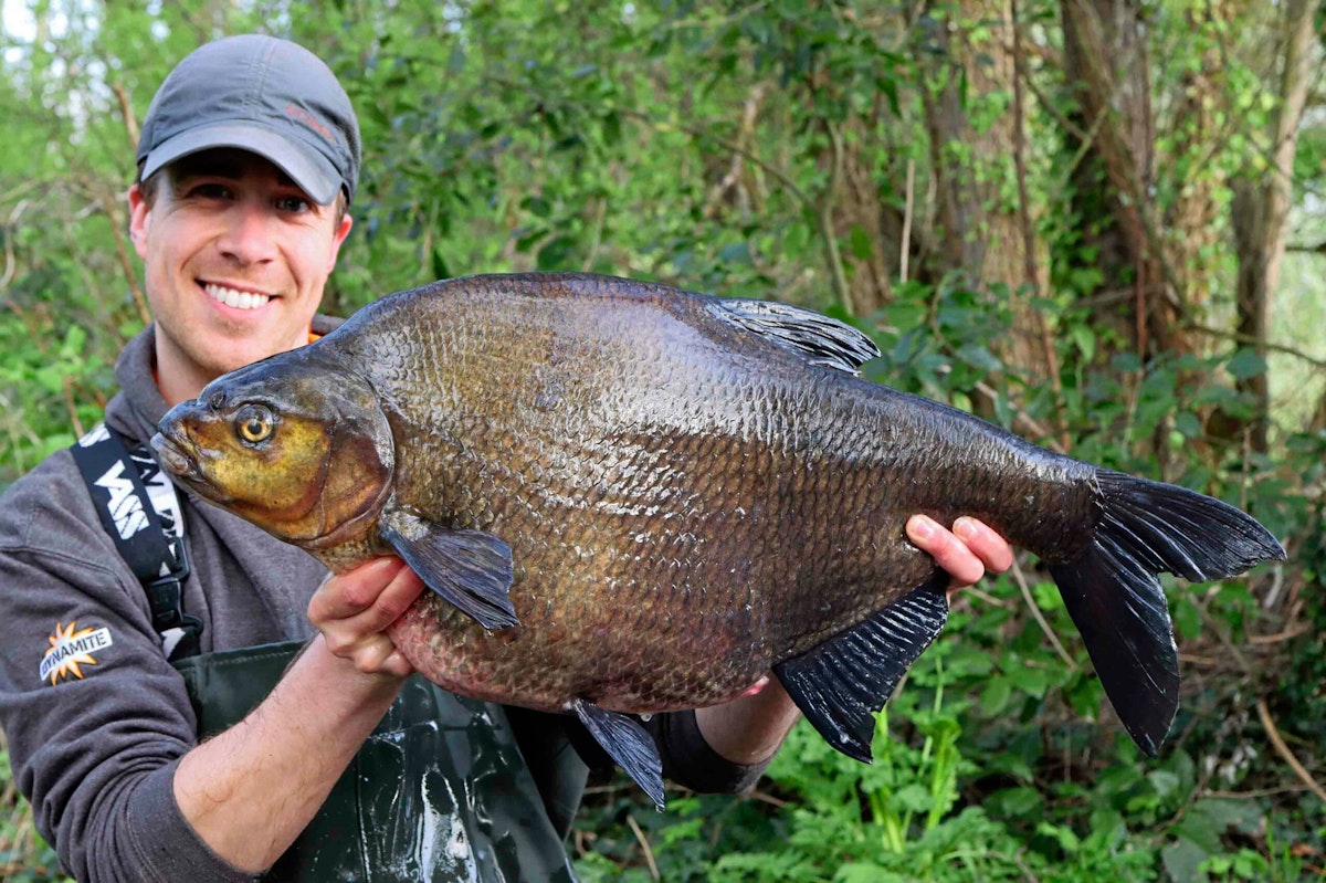 15lb-plus bream tops run of doubles | Angling Times
