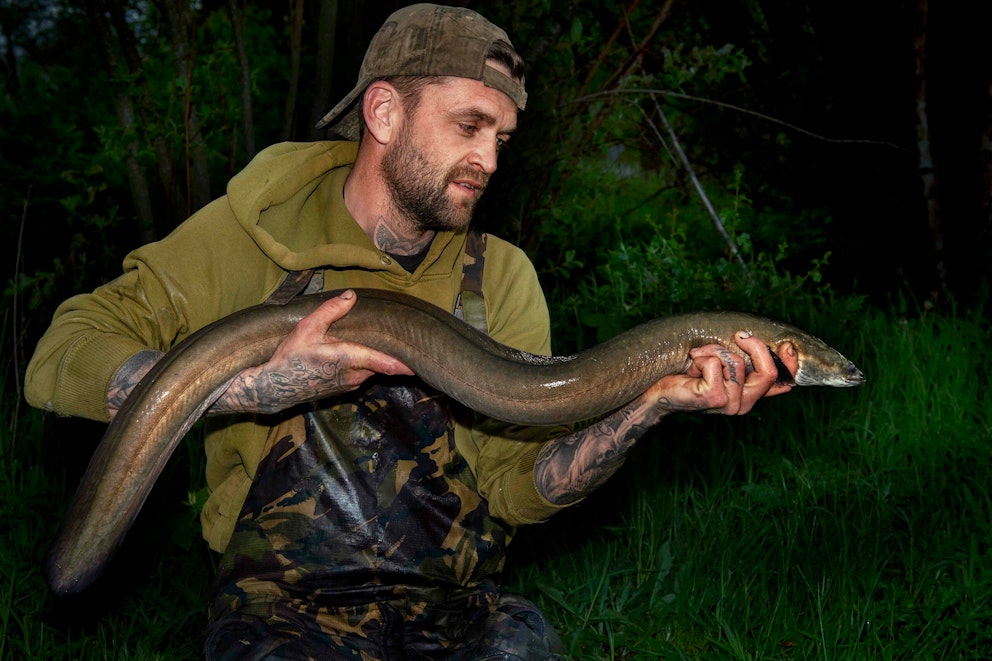 Monster eel landed float fishing at night | Angling Times