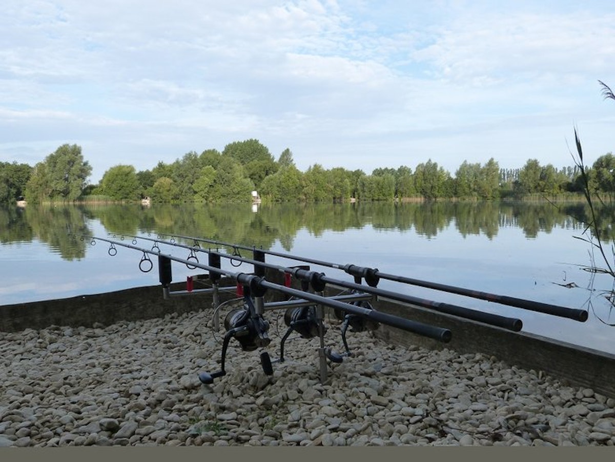 Linear Oxlease | Angling Times
