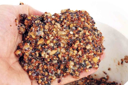 The best particle baits for carp fishing and how to use them | Angling ...