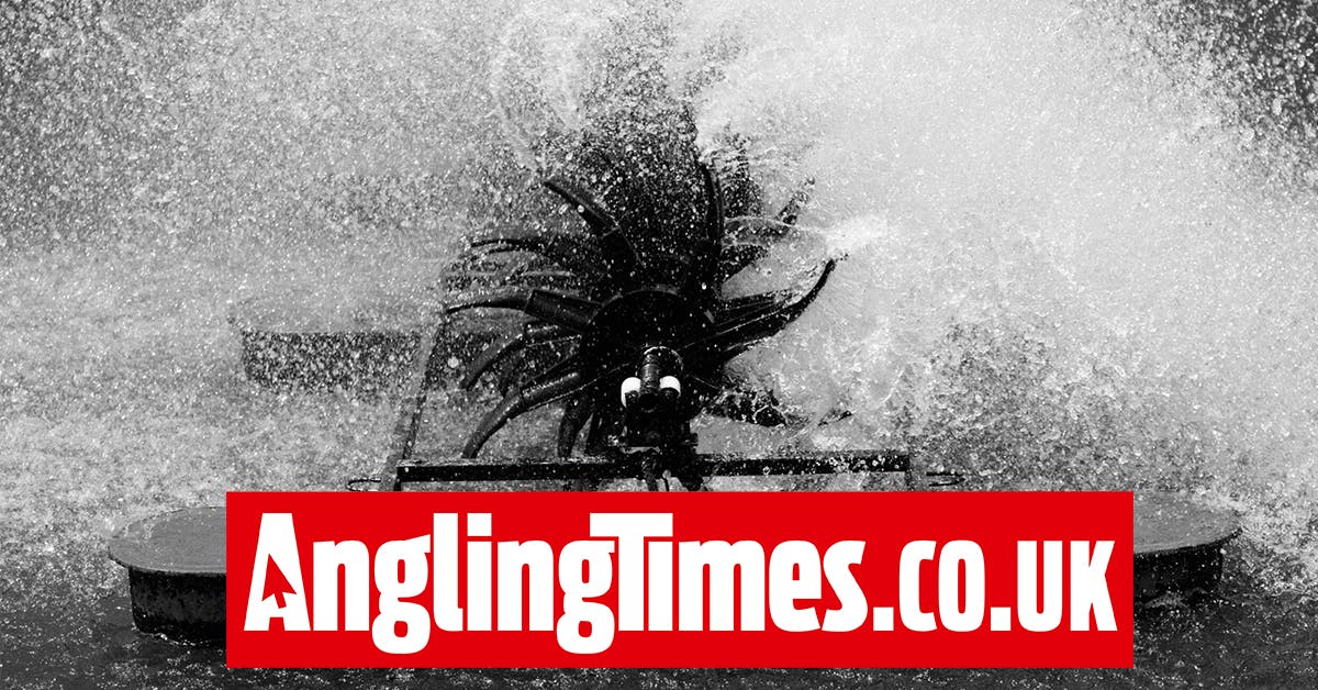 Solar power support to save fish stocks | Angling Times