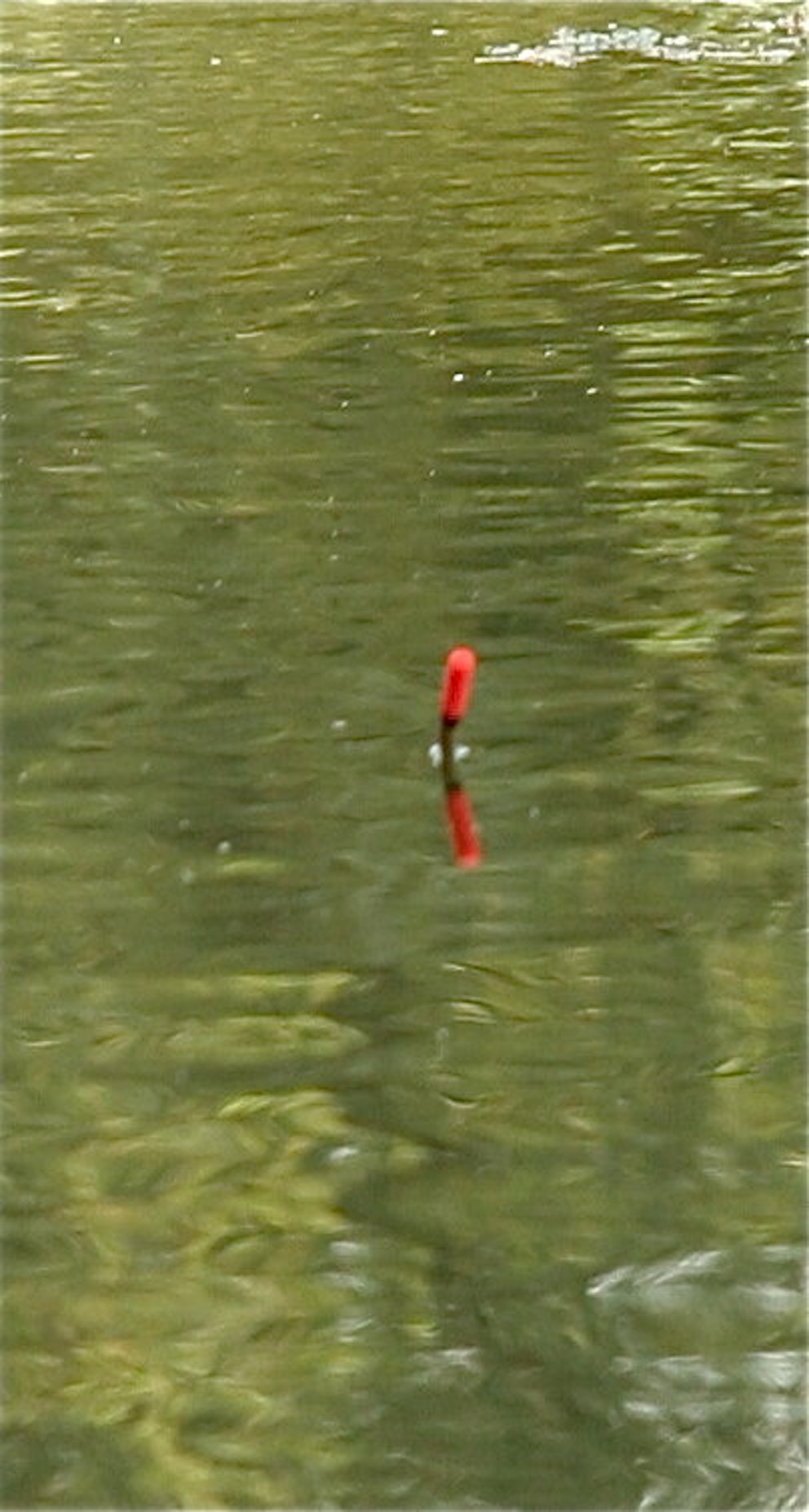 How to float fish for big carp – Mark Holmes | Angling Times