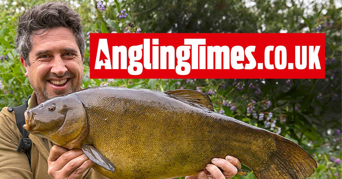 Biggest tench of the season landed! | Angling Times
