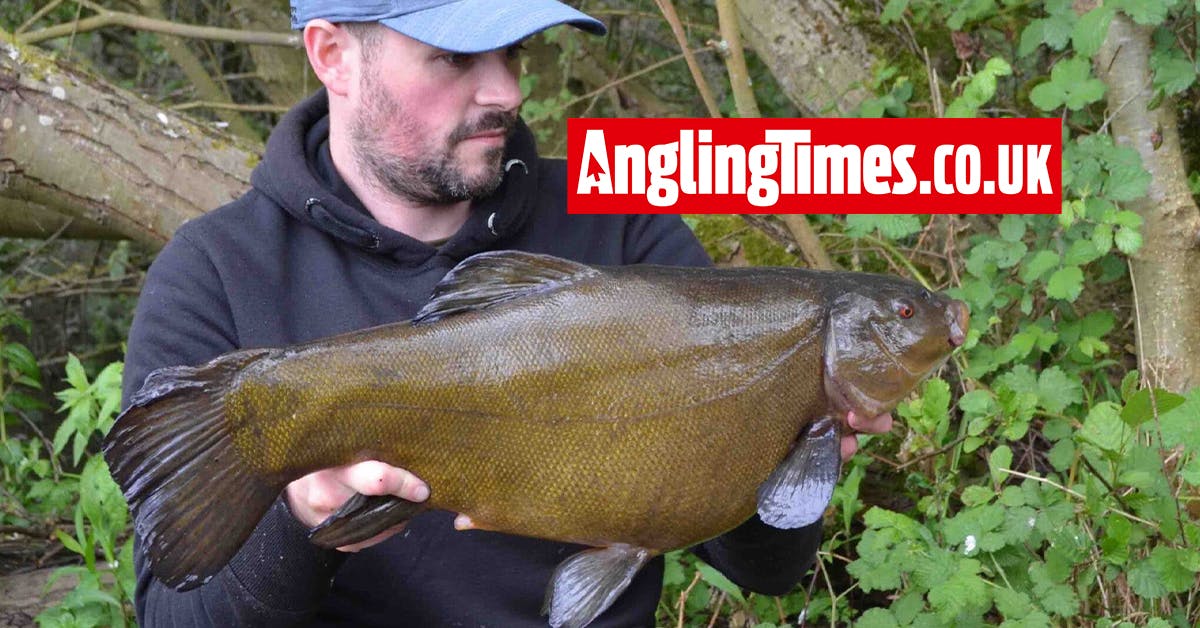 Tench specialist hits superb run of form | Angling Times