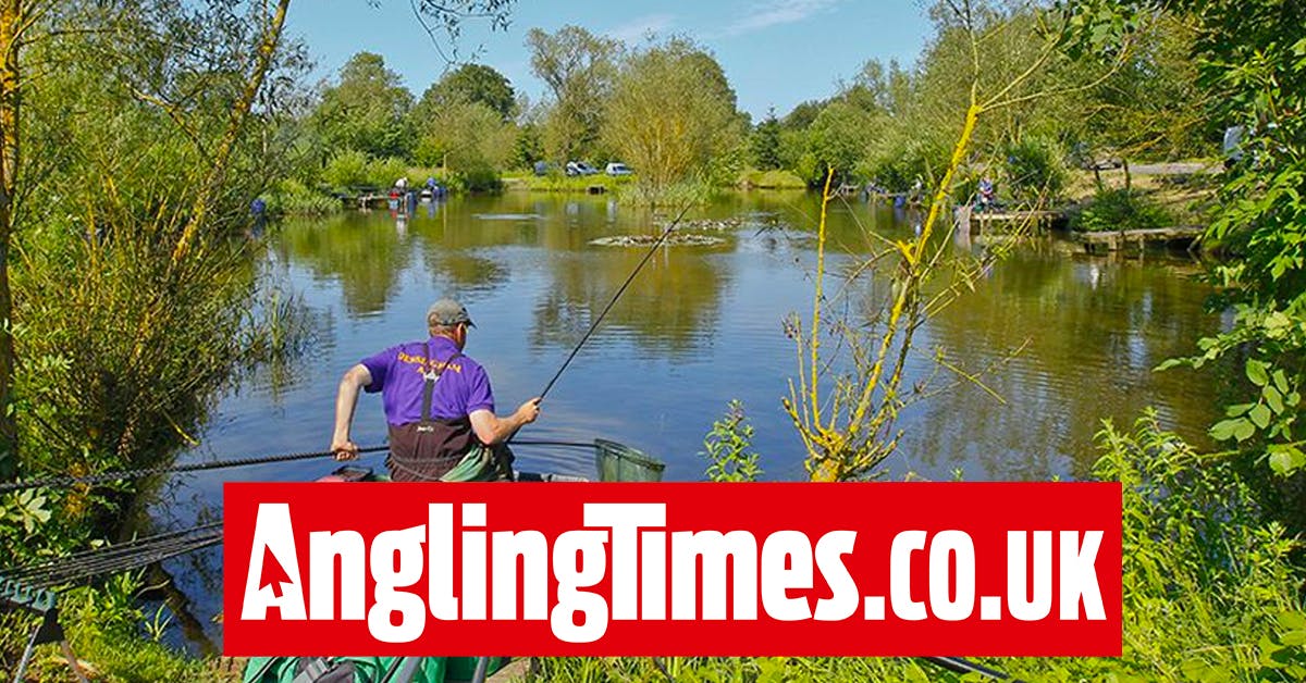 Hundreds compete in busiest day in the UK match fishing calendar ...