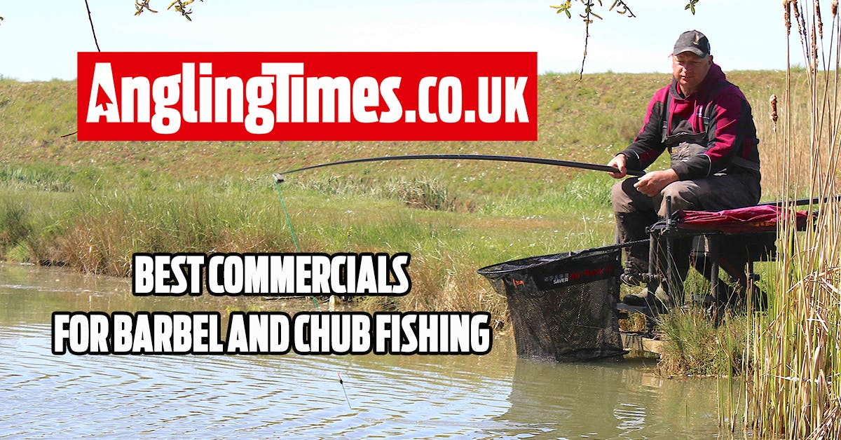 Fishing near me: Top 10 commercials to catch barbel and chub | Angling ...