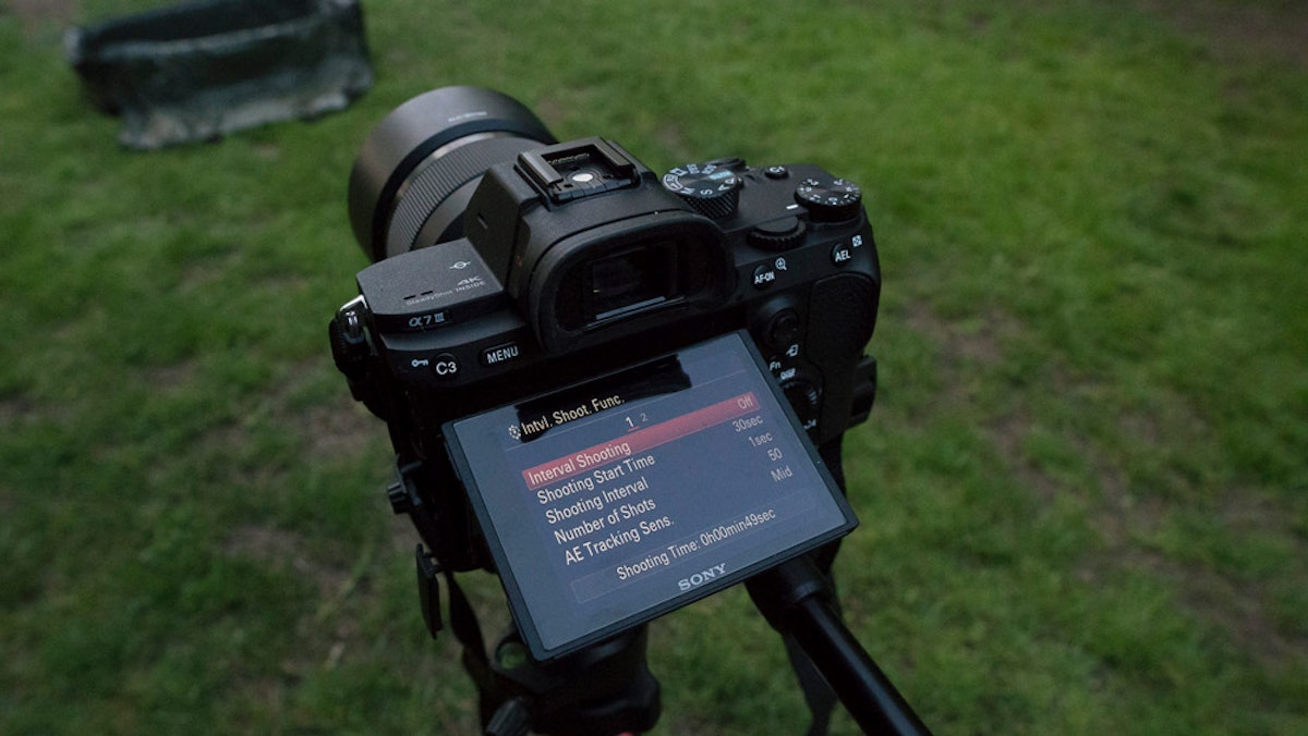 How to take better fishing photographs | Angling Times