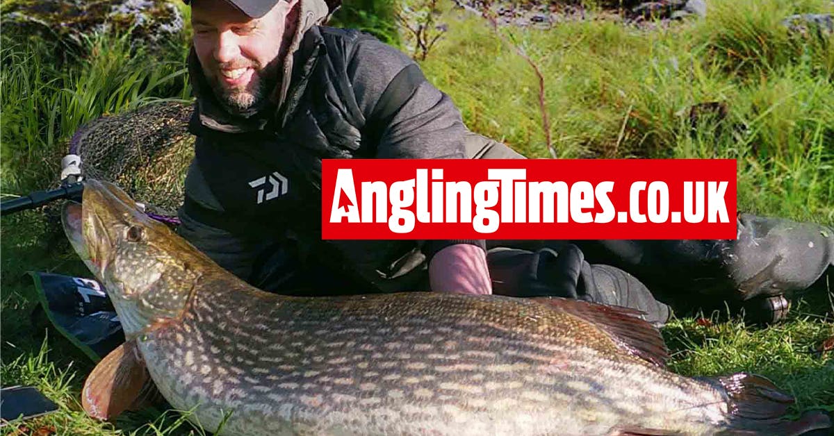 Enormous Irish pike puts up an epic scrap | Angling Times