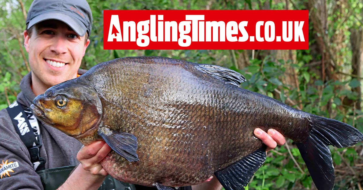 15lb-plus bream tops run of doubles | Angling Times
