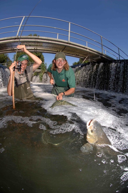 Fishing near me: 10 of the best weir pools for river fishing | Angling ...