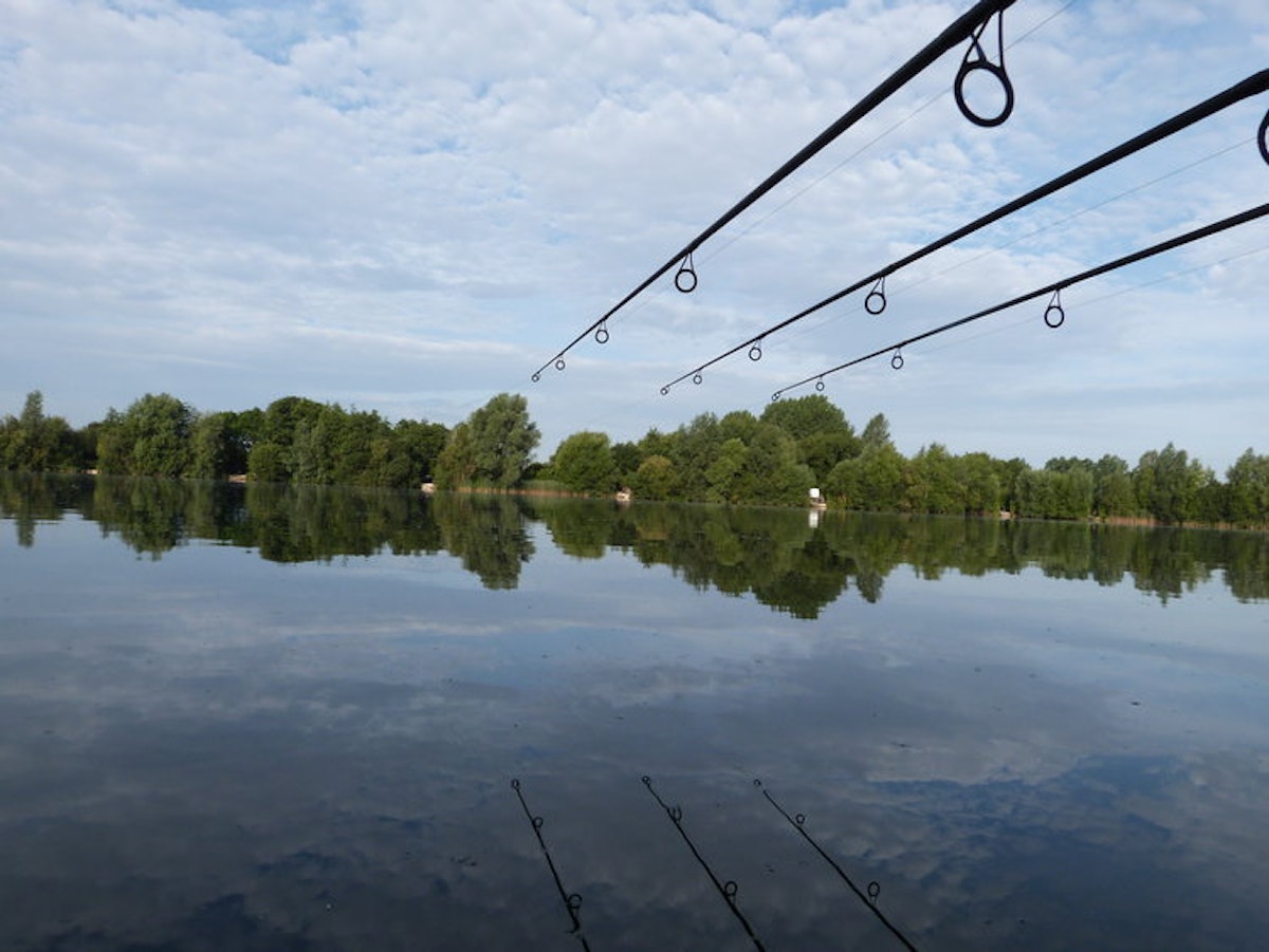 Linear Oxlease | Angling Times