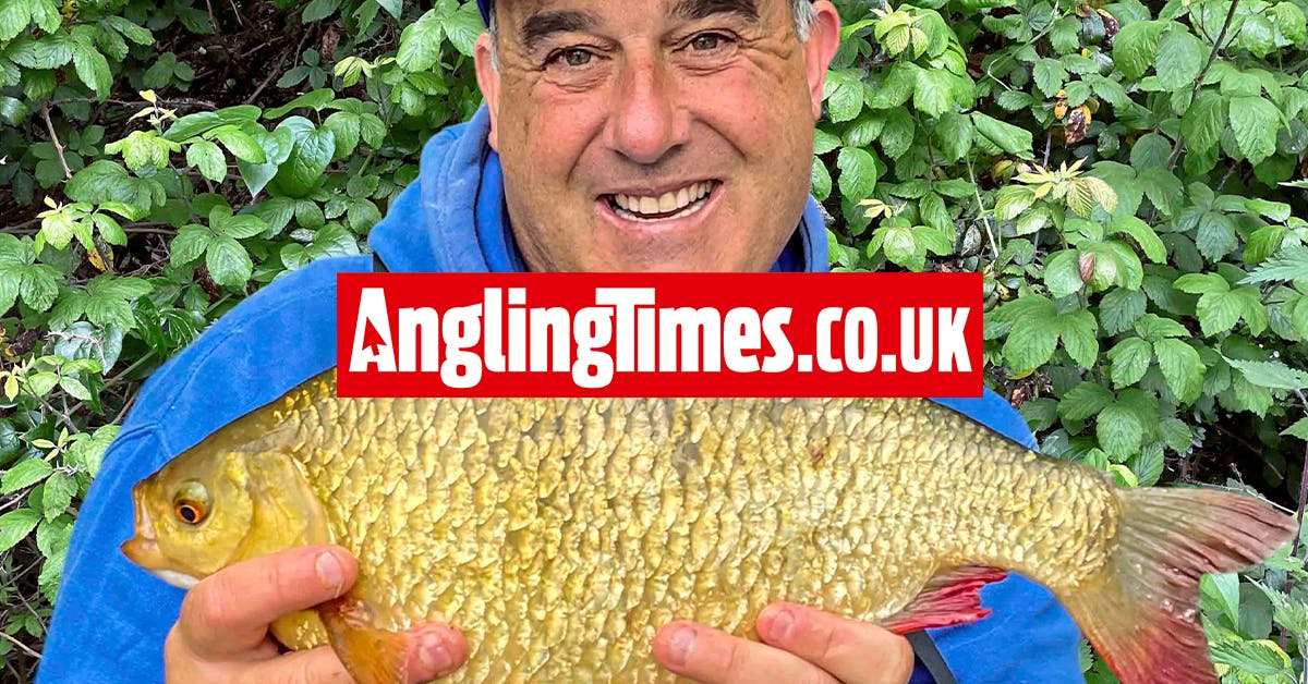 Huge rudd on the method feeder | Angling Times