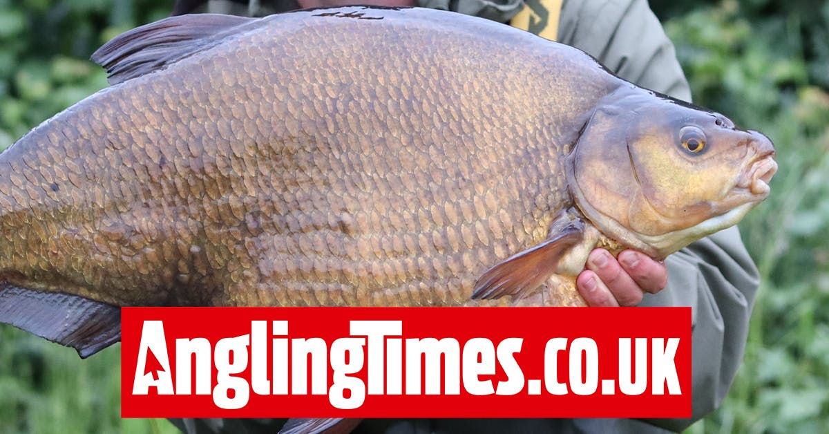 ‘Simply unbelievable’ bream banked from Midlands pit | Angling Times