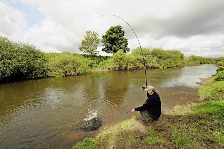 Where to catch a big barbel