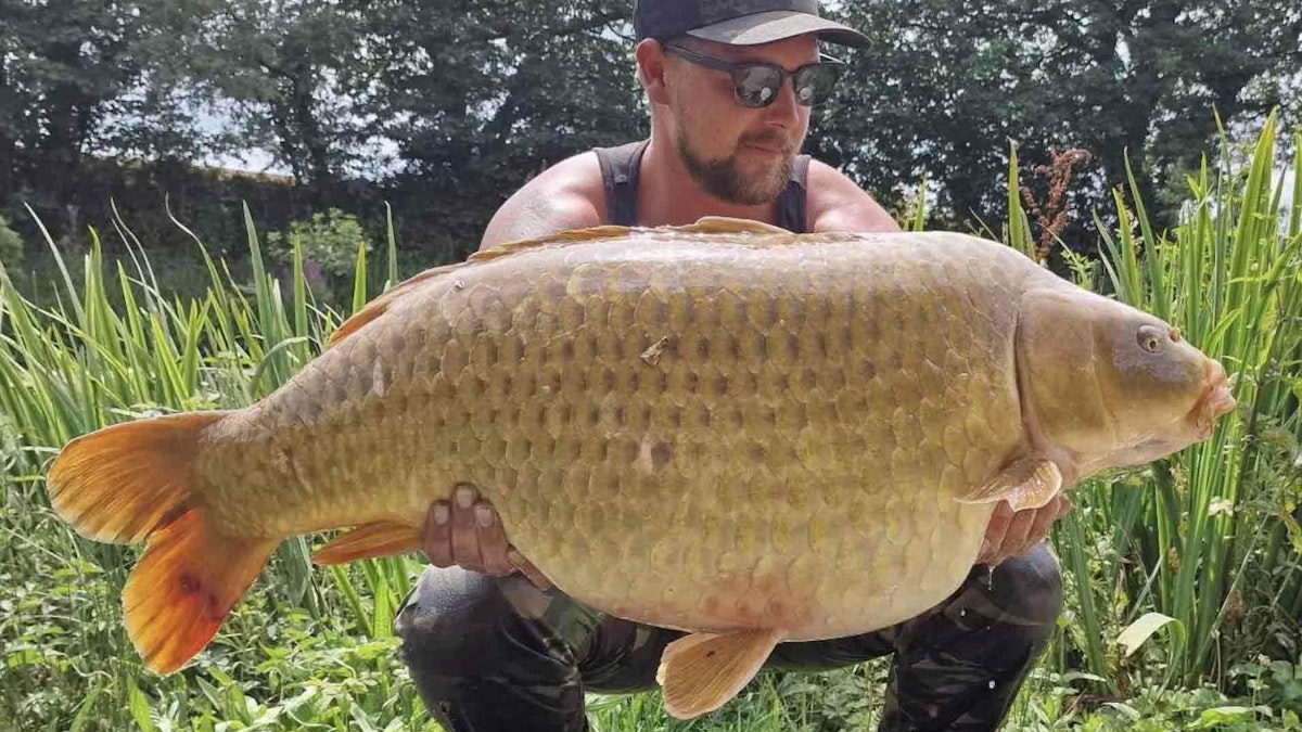 Cornwall’s biggest carp is monster ghostie | Angling Times