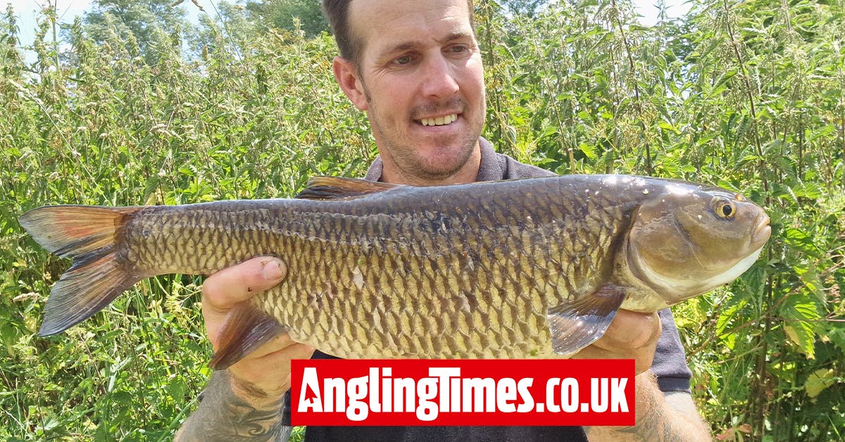 Massive summer chub caught on simple surface fishing tactics | Angling ...