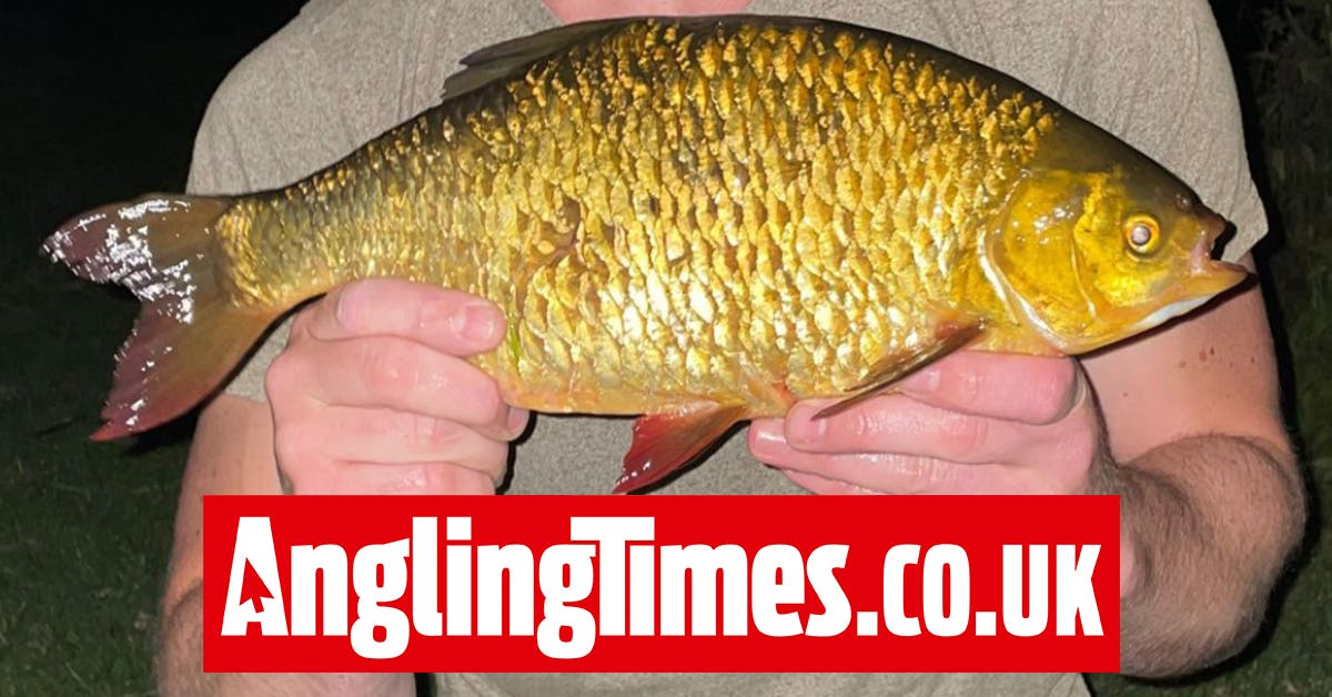 Specimen river rudd landed at night | Angling Times