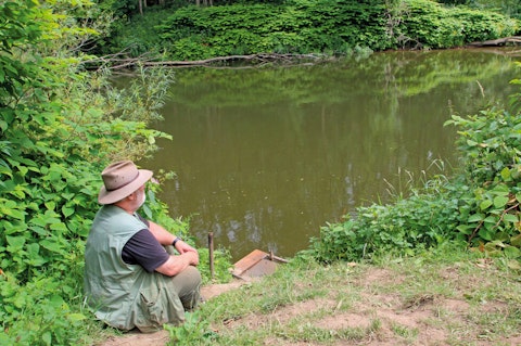 Fishing near me | Rivers with free fishing | Angling Times