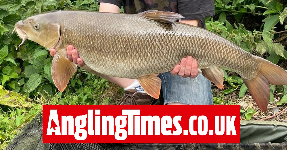 Huge Lea specimen is first-ever barbel! | Angling Times