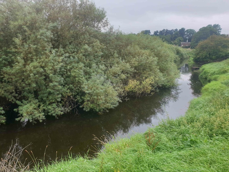 The Best Angling Clubs For River Fishing | Angling Times