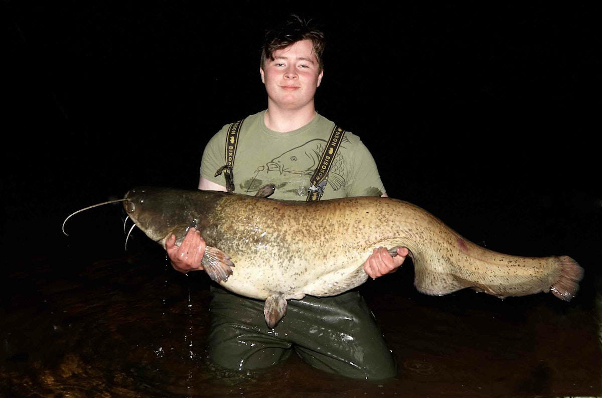 15-year-old angler hooks huge catfish from UK river | Angling Times