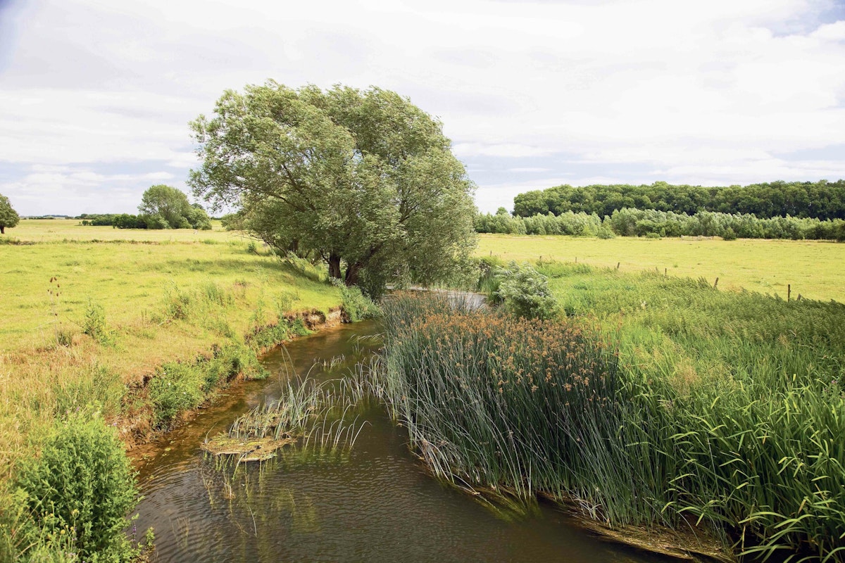 The Best Angling Clubs For River Fishing | Angling Times