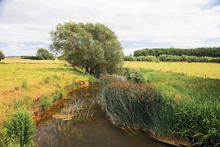 The Best Angling Clubs For River Fishing | Angling Times